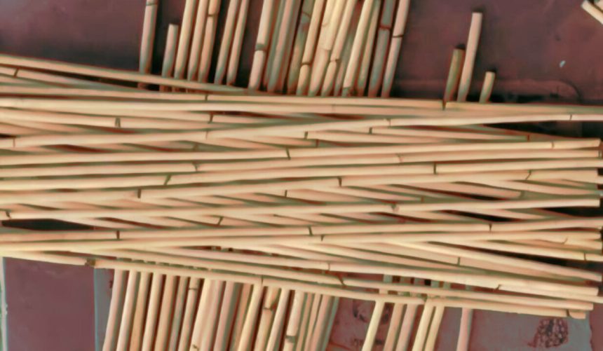 Tradisi Ojong, Adu Cambuk Rotan yang Masih Eksis di Lumajang - Kolom Desa